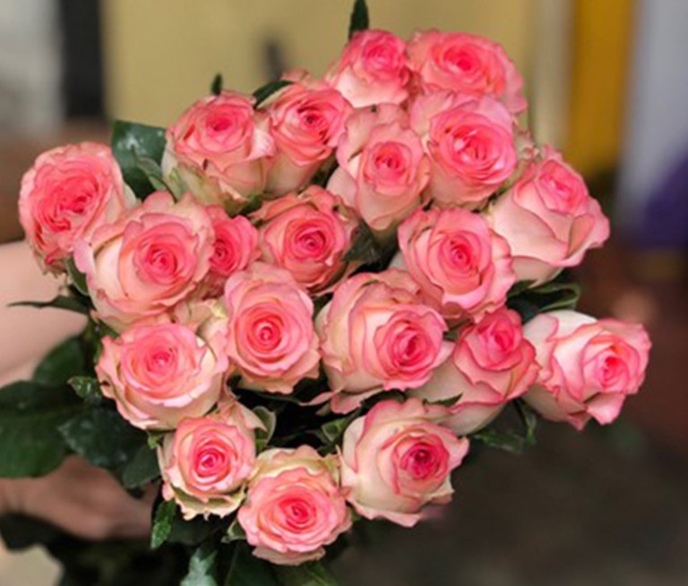 Hoa hồng song hỷ | Mang ý nghĩa tình yêu ngọt ngào, lãng mạn, mãnh liệt